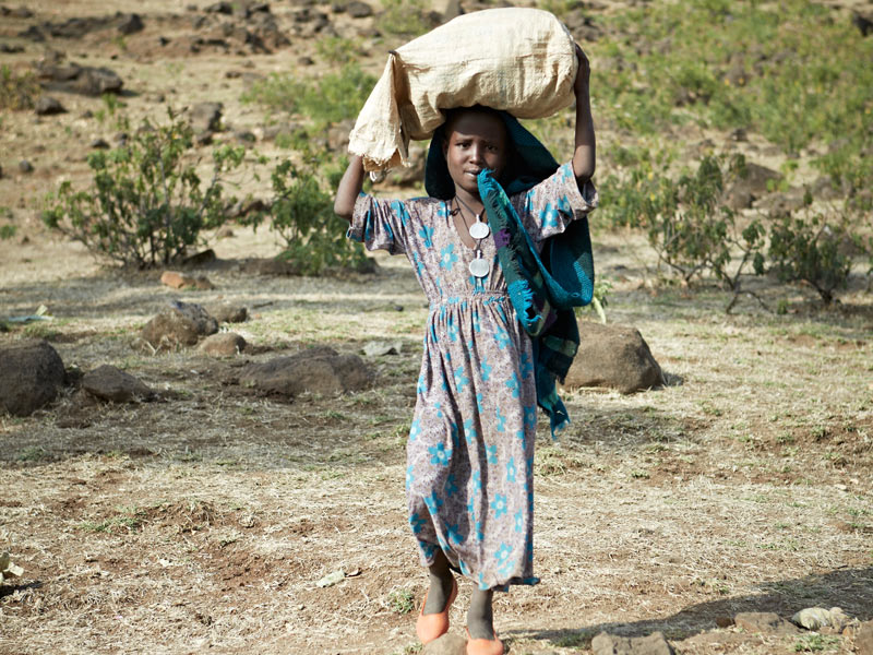 Kinderarbeit: Zahlen & Fakten | SOS-Kinderdörfer
