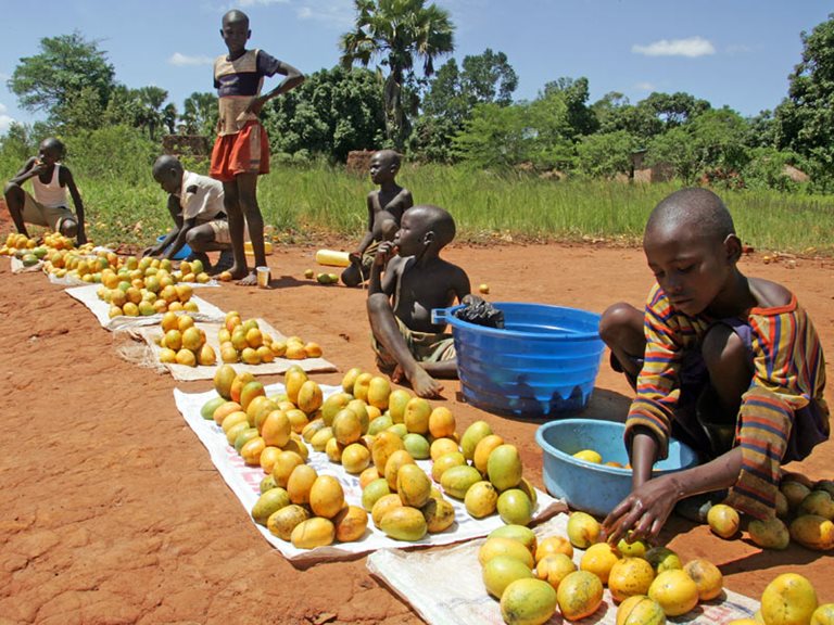 Kinderarbeit: Zahlen & Fakten | SOS-Kinderdörfer